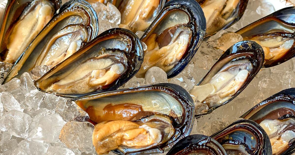 Cozze: tipi, come pulirle, proprietà e idee per cucinarle