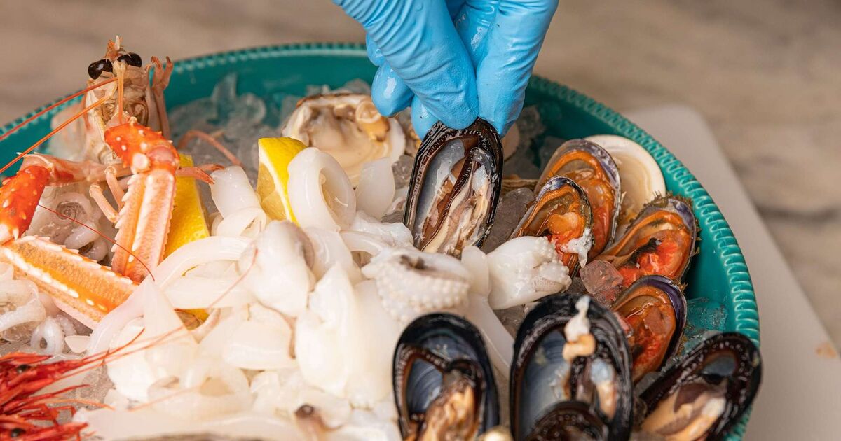 Antipasti di pesce veloci, freddi o cotti: le ricette di Pescaria